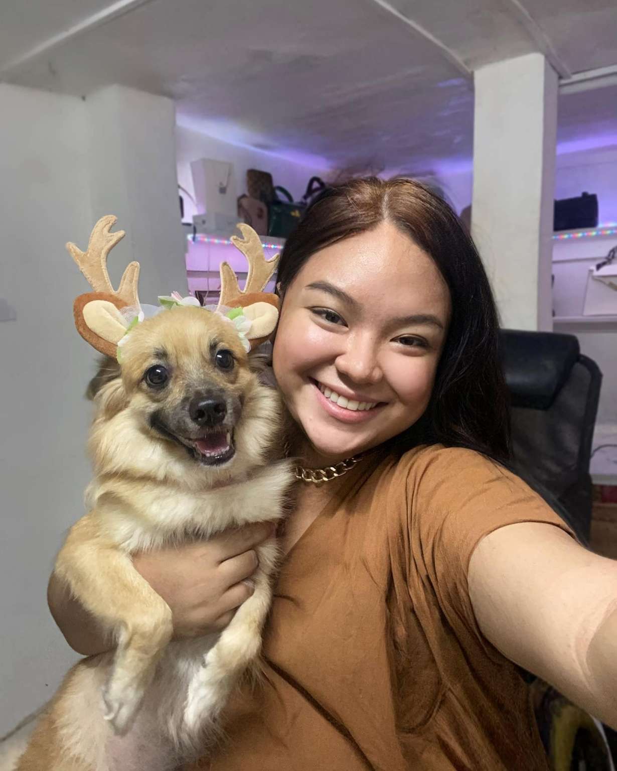 Dogs: The Unsung Heroes of the LGBTQ+ Community - BARK Post